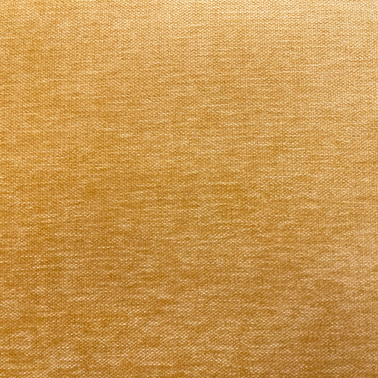 Cristina Marrone Messina Gold